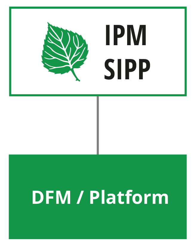 Here’s everything clients can put in a SIPP - IPM Pensions